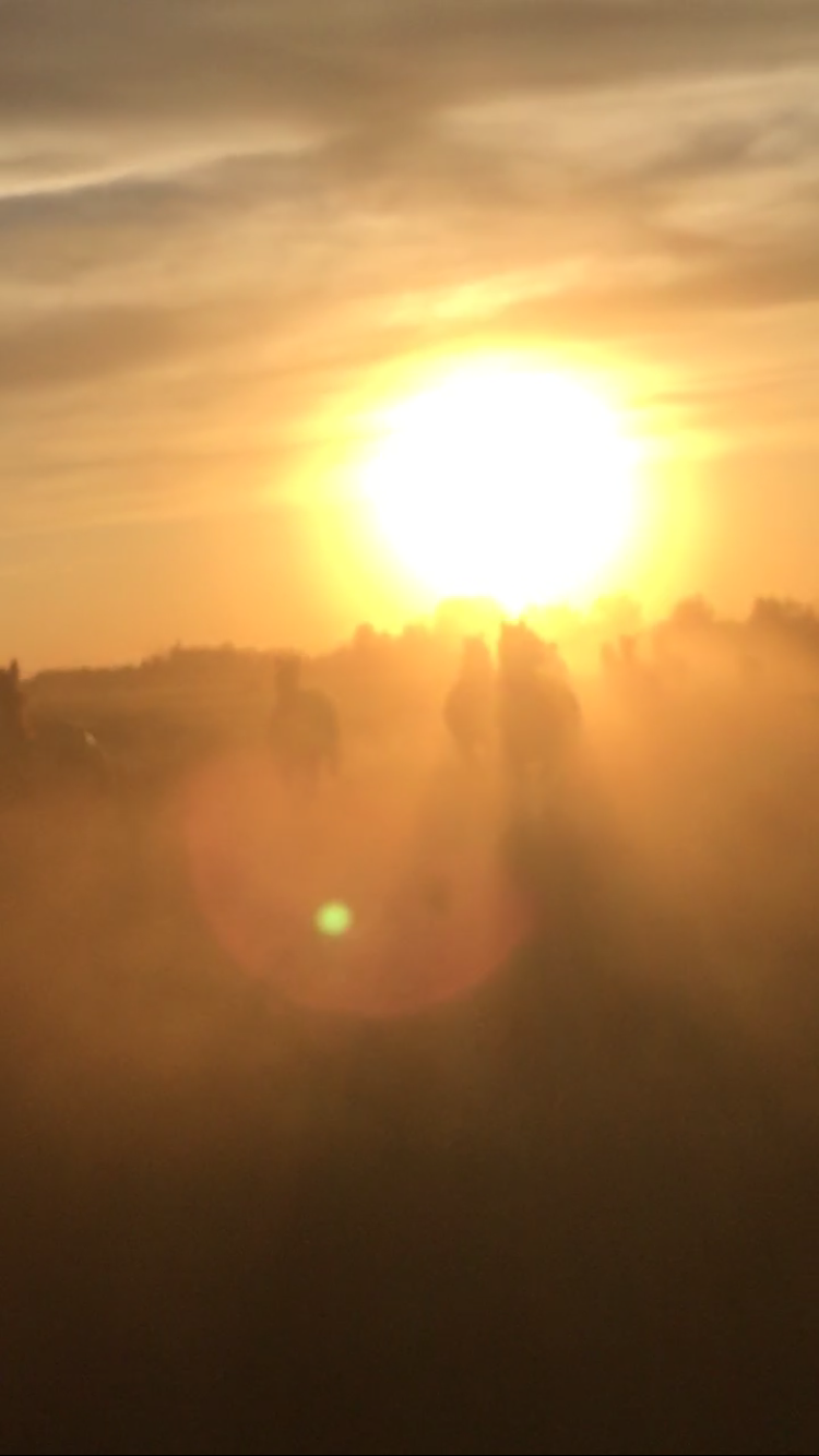 Home on The Ranch | The Travelin Trailer